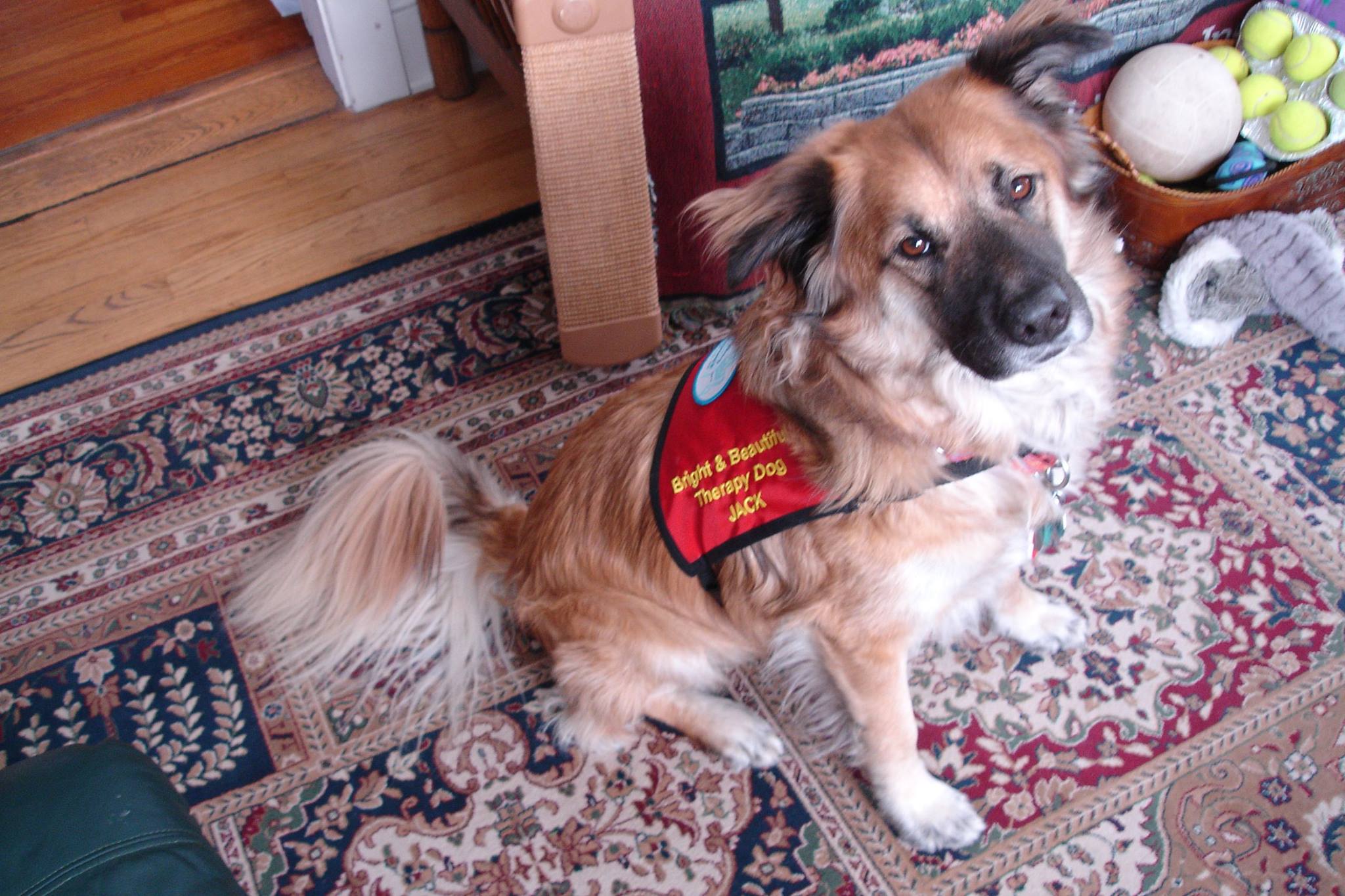 Rainbow Bridge – Peppertree Rescue