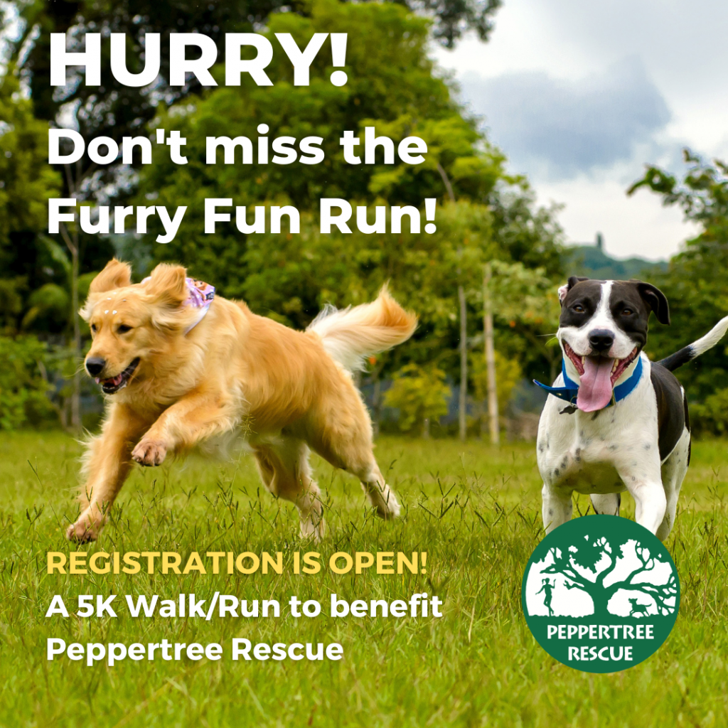 Furry Fun Run 2024 – Registration is OPEN! – Peppertree Rescue